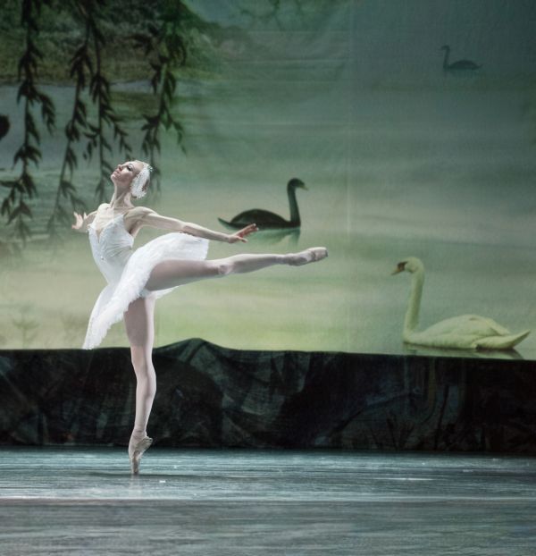 EUROPEAN CLASSICAL BALLET: Η ΛΙΜΝΗ ΤΩΝ ΚΥΚΝΩΝ