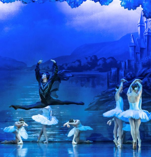 EUROPEAN CLASSICAL BALLET: Η ΛΙΜΝΗ ΤΩΝ ΚΥΚΝΩΝ